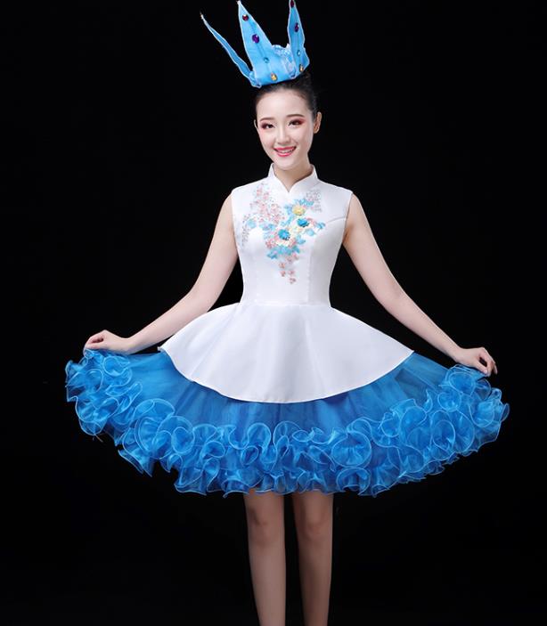 High School Girls Party Dress Choir Dress