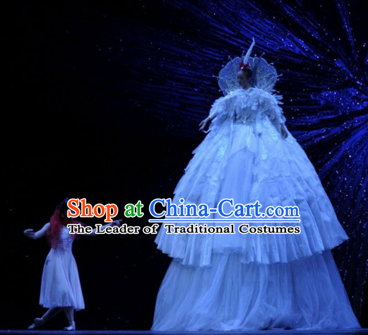 Giant Chinese Stage Dance Costumes Complete Set for Women